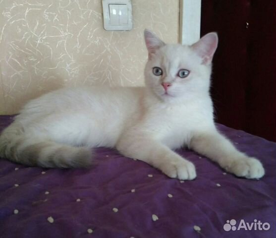 Ласковые и нежные