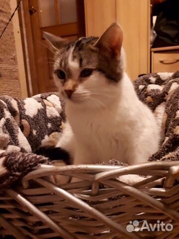 Мотя (Матильда)