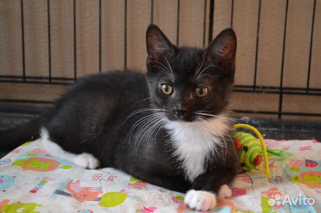 Девочка 2,5 мес