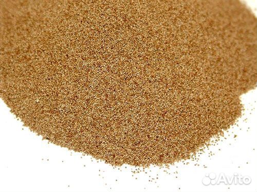 Артемия яйцо хороший выход Artemia salina