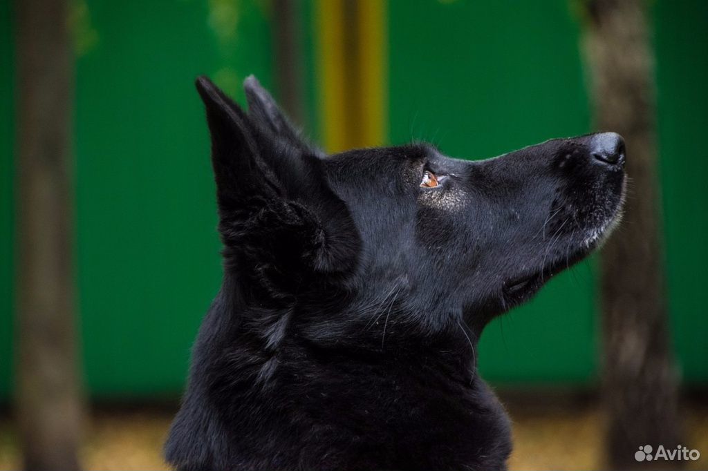 Тося ищет своего человека