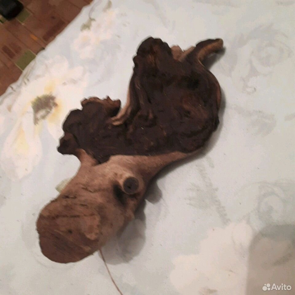 Каряга в аквариум террариум