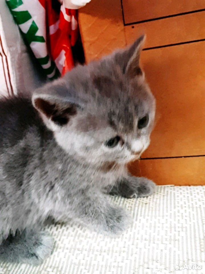 Британская