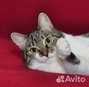 Душенька Машуша - в дар