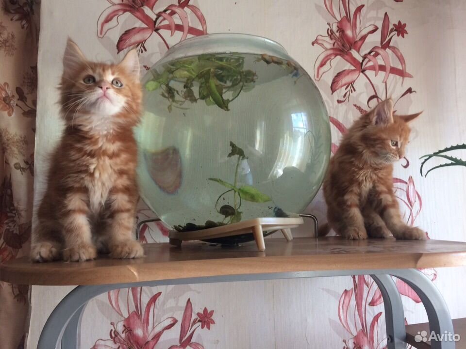 Малыши ждут родителей