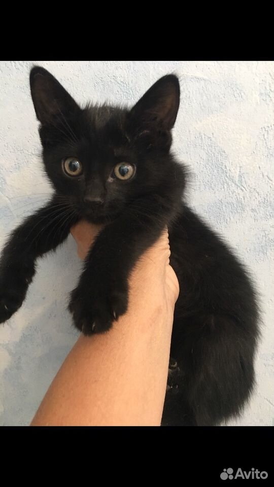 Чёрный Бумер