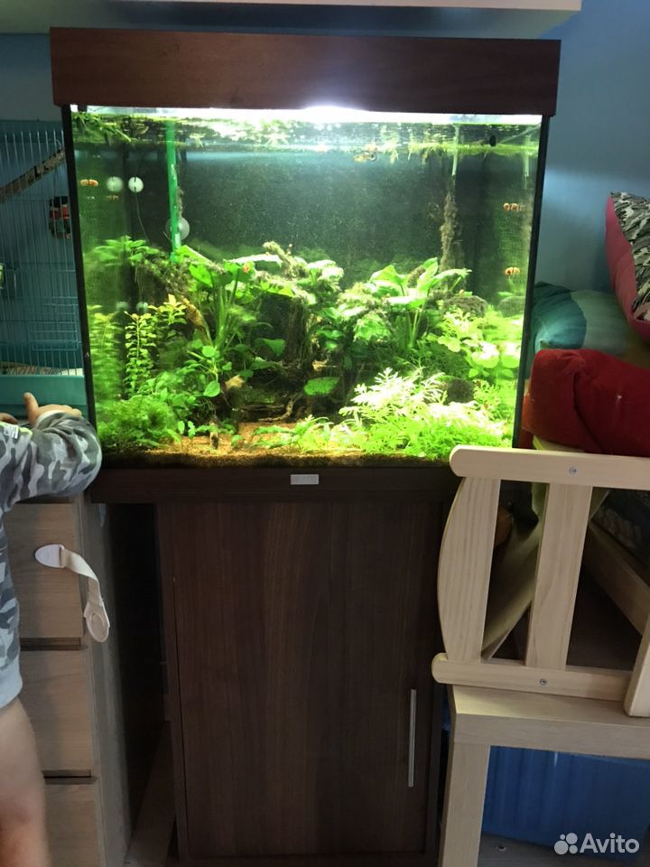Аквариум juwel lido 120