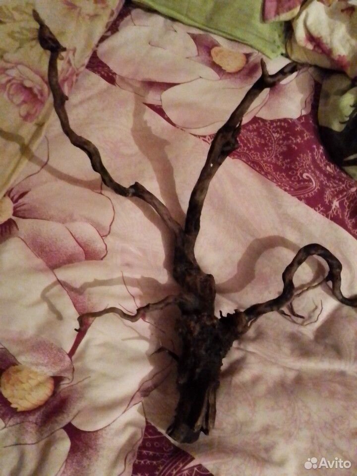 Коряга аквариумная