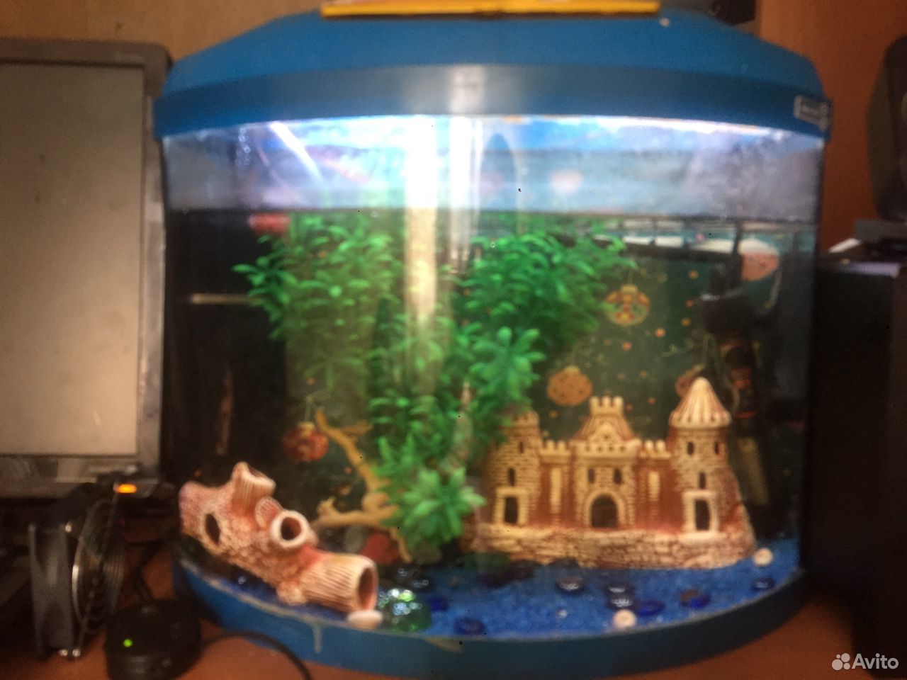 Аквариум
