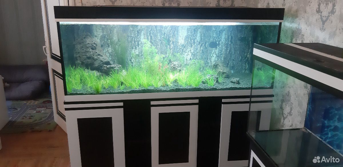 Аквариум 600л