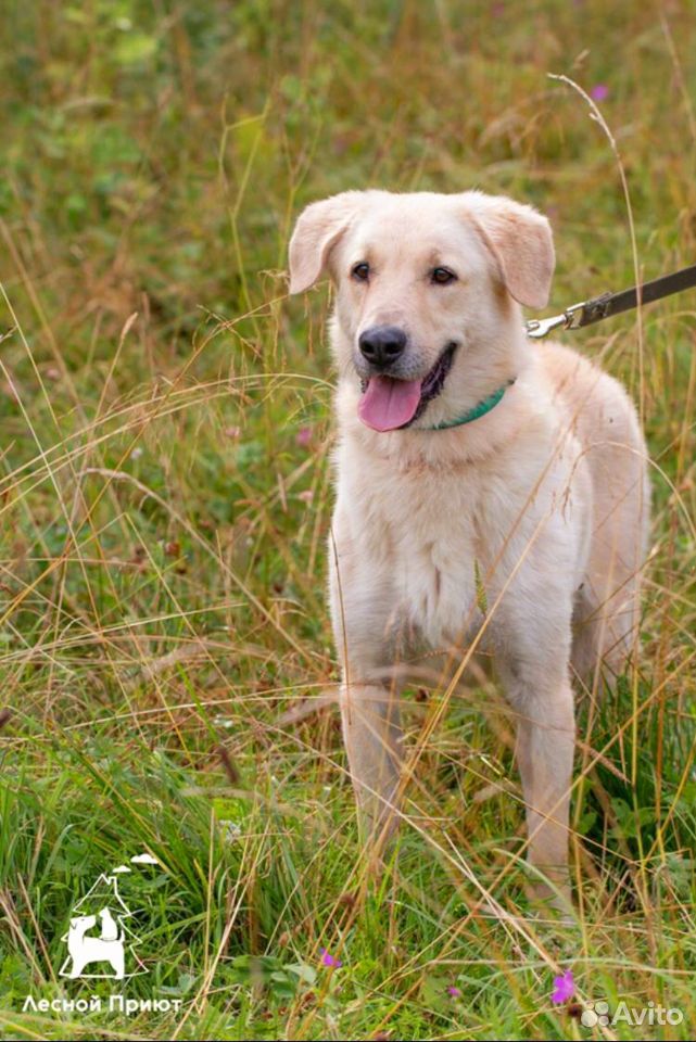 Солнечный красавчик Саня станет вашим другом