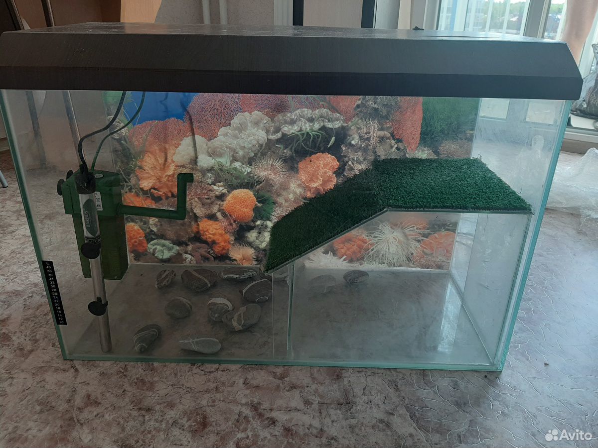 Аквариум