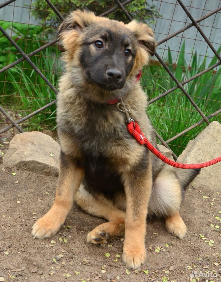 Ангельское создание, Девочка 4,5 мес