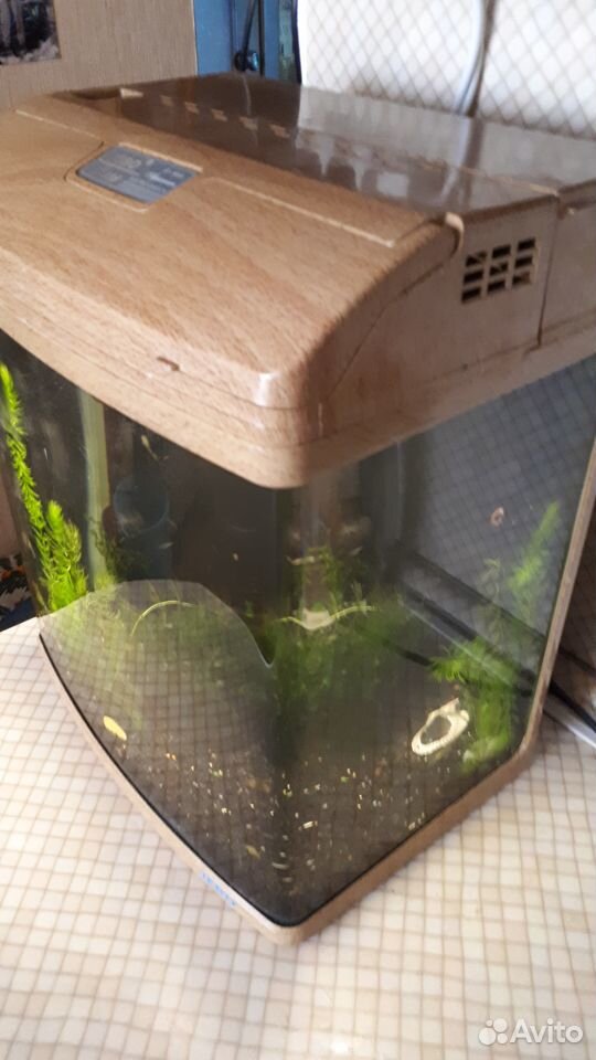 Продам аквариум Jebo 35 л