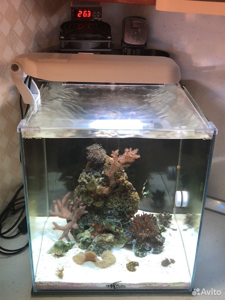 Морской мини аквариум