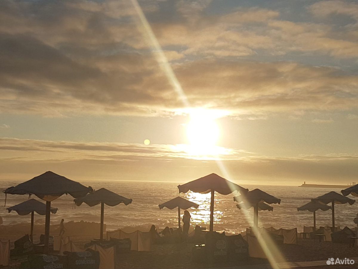 Потерялся попугай возле Пуда на Фадеева