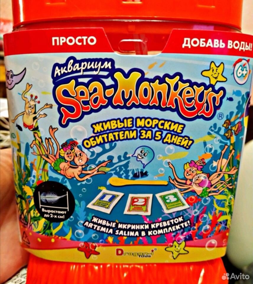 Sea Mankeys аквариум