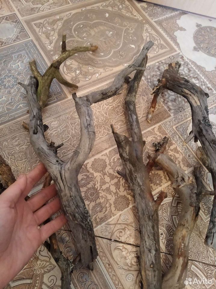 Коряги,шишки, кокос для террариума