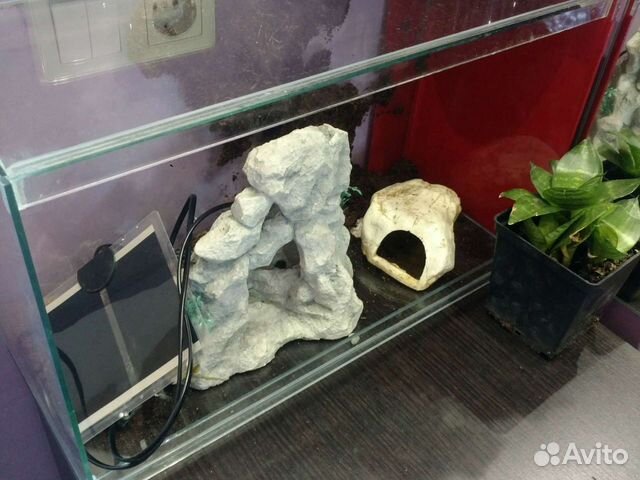 Аквариум террариум грот коврик