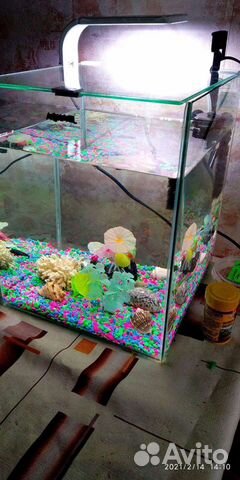 Аквариум