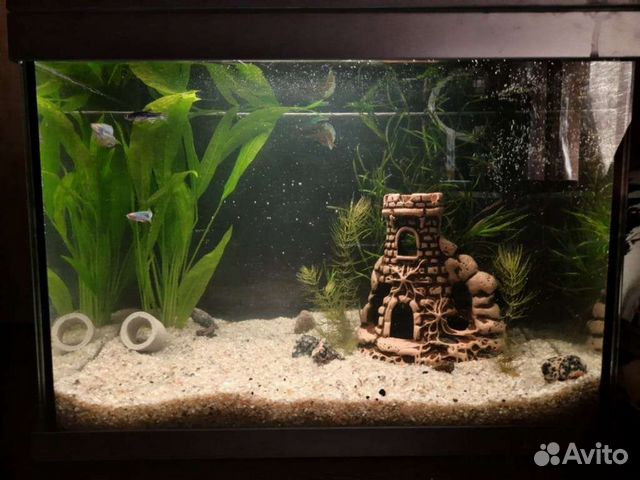 Аквариум Tetra 20л