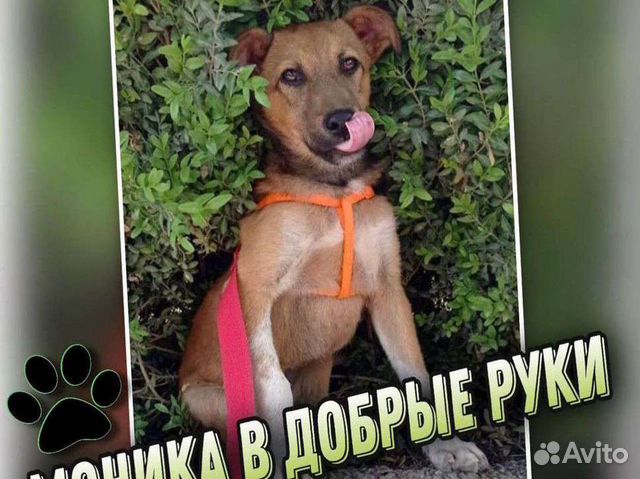 Моника в добрые ручки невероятный чудный ребёнок,л