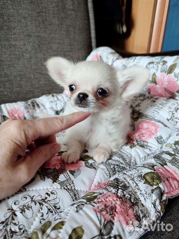 Маленькая девочка