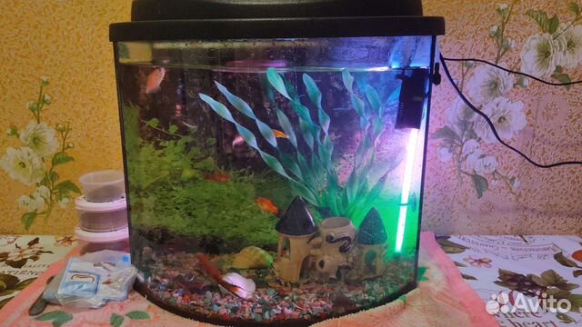 Аквариум с рыбками