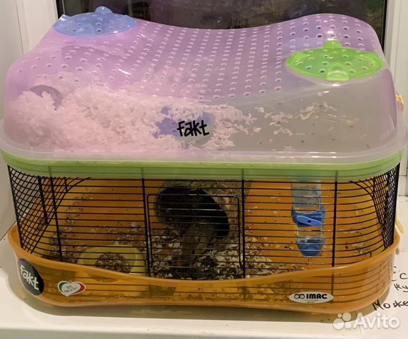 Песчанки с клеткой