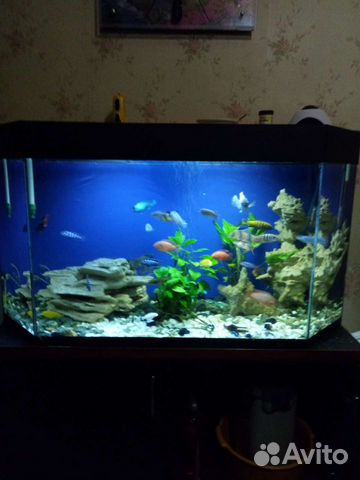 Аквариум