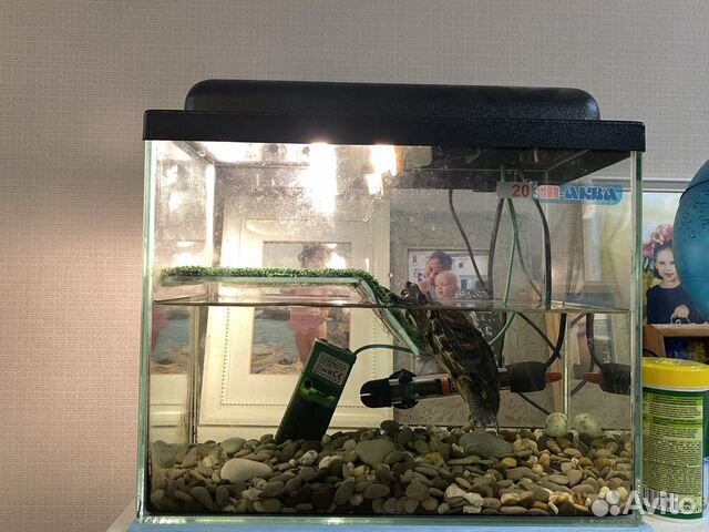 Черепашник 24 литра