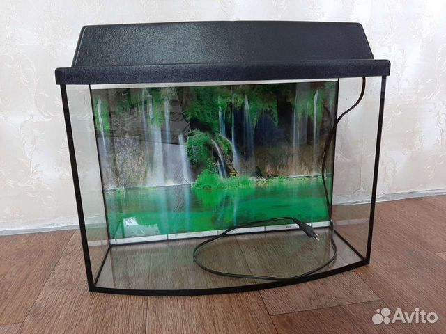 Аквариум