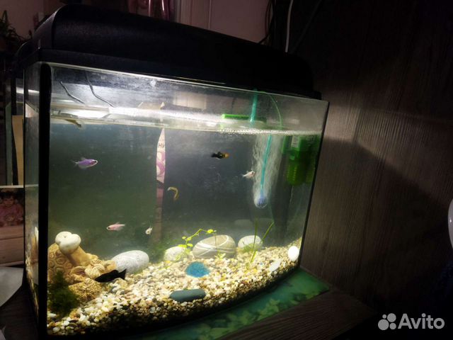 Аквариум 30л и рыбки