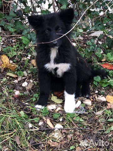 Девочка 4 мес