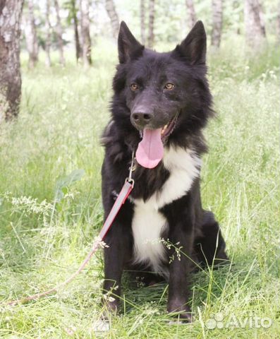 Грише нужен теплый дом и любящие сердца людей