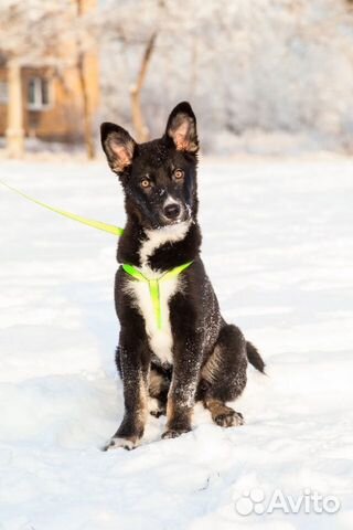 Марсель ищет дом