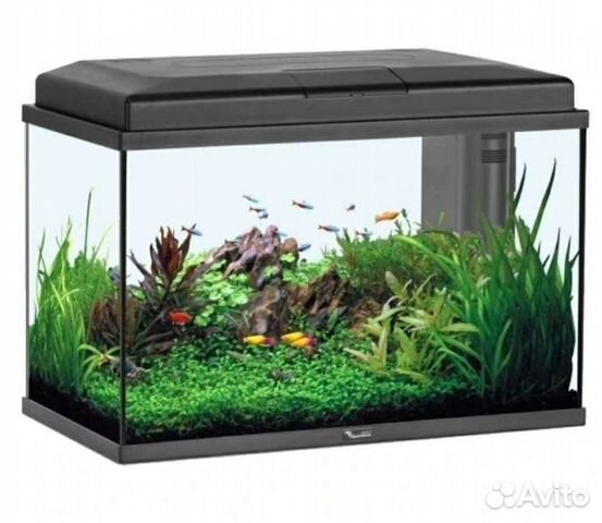 Аквариум 38 литров бу