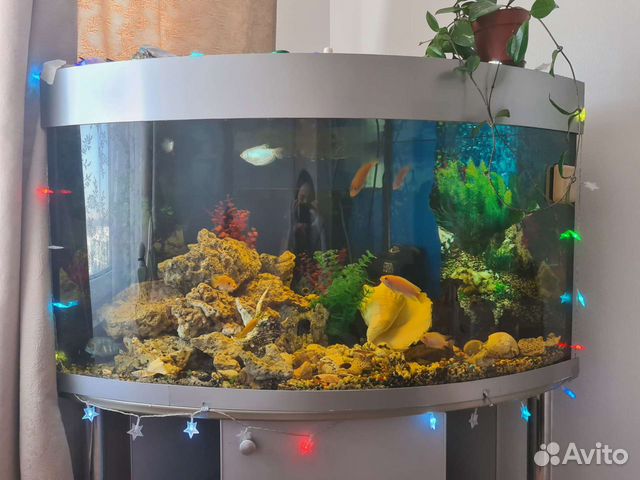 Аквариум 400л