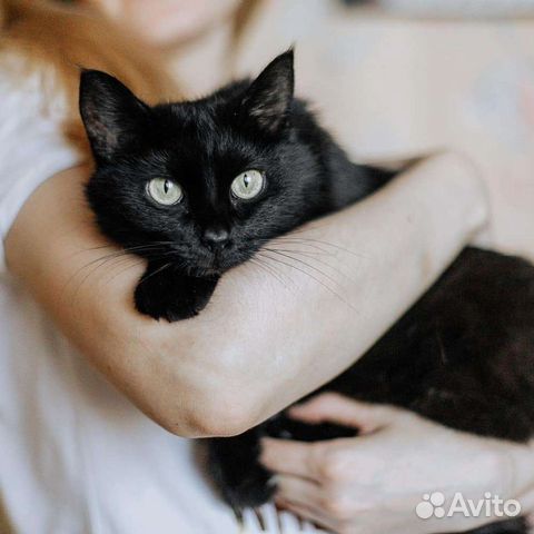 Нежная и уютная Шаня