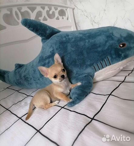 Мини мальчик,малыш Найк