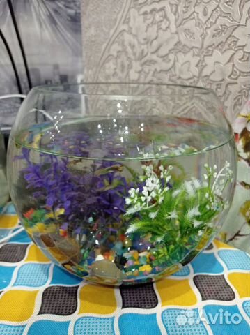 Аквариум с рыбками
