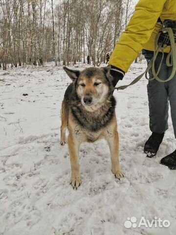 Зайчик в приюте