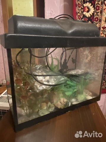 Аквариум 8 литров