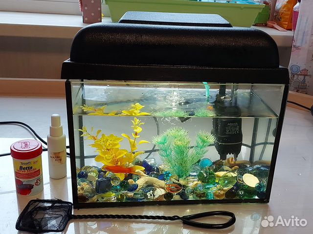 Аквариум с компрессором