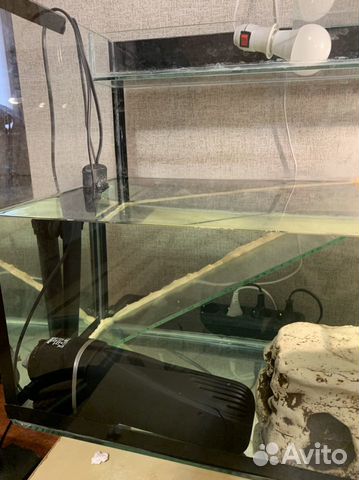 Красноухая черепаха с аквариумом