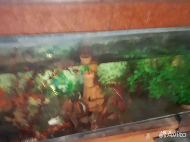 Аквариум