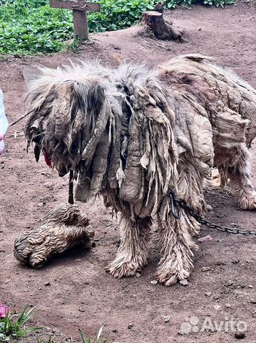 Джек ищет дом после пережитого