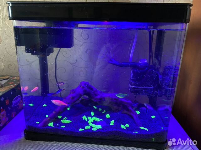 Аквариум 15 л с glo-fish