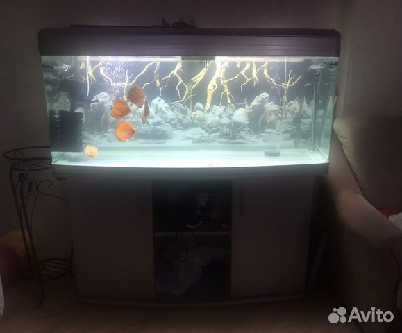 Аквариум Jebo 300л