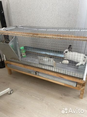 Декаративный кролик с клеткой